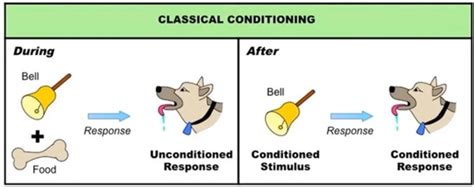网络色情是如何让你上瘾的有什么负面影响