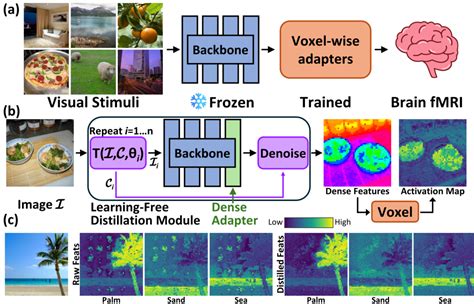 논문 리뷰 Brain Mapping With Dense Features Grounding Cortical Semantic Selectivity In Natural