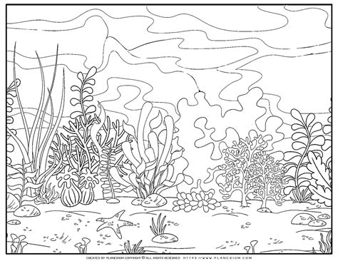Underwater Coloring Page Planerium