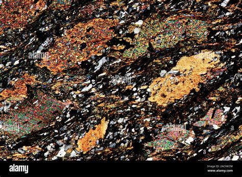 Polarised Light Micrograph Of A Thin Section Of Mica Schist A Type Of Metamorphic Rock