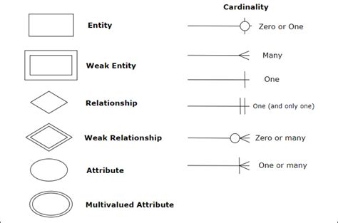 Components Of Er Diagram With Example Er Diagram In Dbms