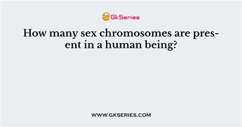How Many Sex Chromosomes Are Present In A Human Being