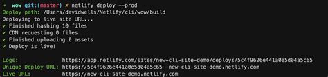Deploy In Seconds With Netlify CLI Netlify