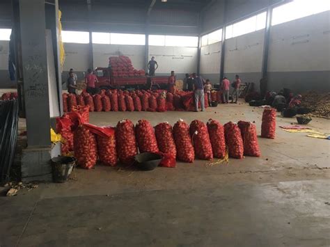 rana hisham on linkedin today from our station algamal 17 comments