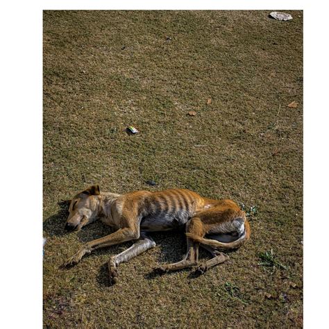 Gitam Photography • Instagram Photos And Videos