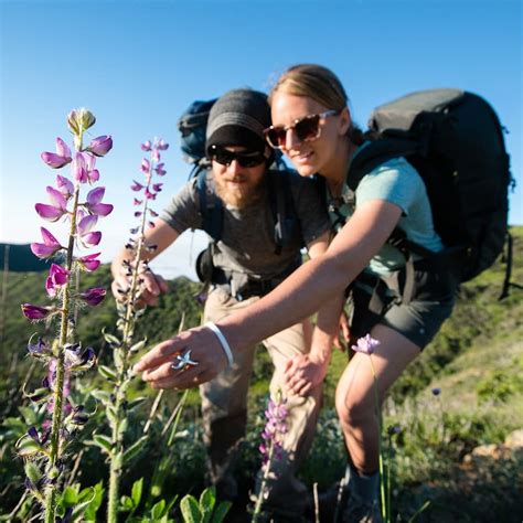 Naturalist Tìm Hiểu Về Nhà Tự Nhiên Học Nghĩa Từ Loại Cách Sử Dụng