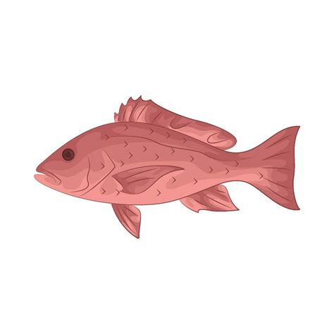 Illustration Of Grouper 51078508 Vector Art At Vecteezy