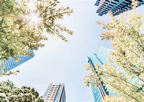 Webinar Part 4 The Fundamentals Of Climate Transition Planning For