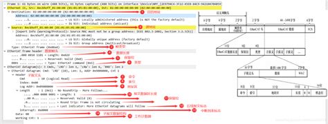 ethercat理论学习笔记【一】 数据帧结构 ethercat数据帧详解 孔晨星的博客 csdn博客