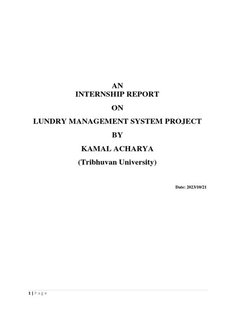 Laundry Management System Project Report Pdf Software Testing