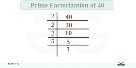 Factors Of 40 Prime Factorization And Factor Tree Of 40 Worksheets Library
