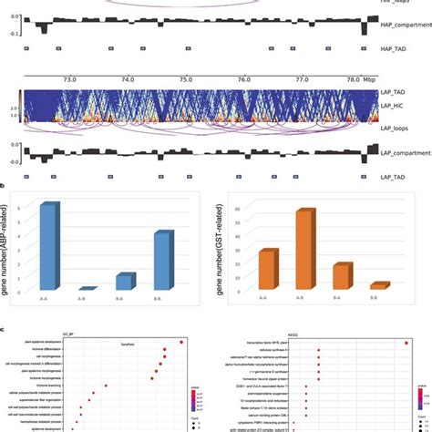Hi C Contact Map And Chromatin Features A Hi C Interaction Within And