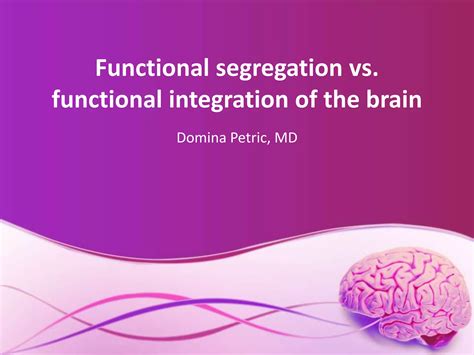 Functional Segregation Ppt