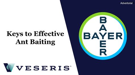 Keys To Effective Ant Baiting