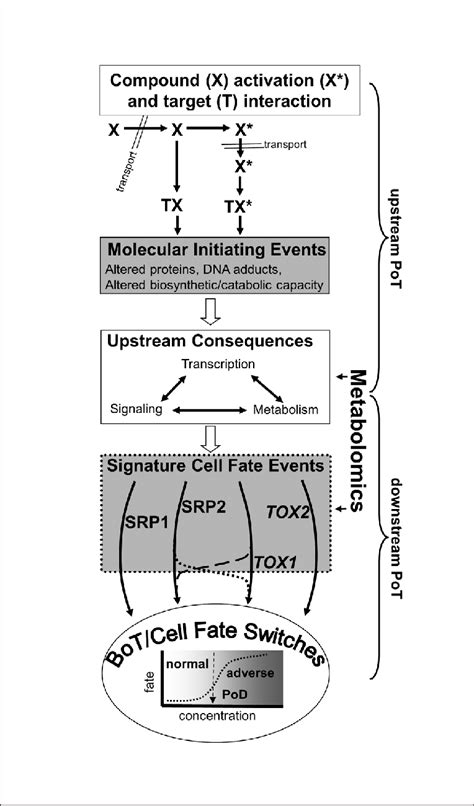 The Role Of In Vitro Metabolomics In Identification Mapping And Use