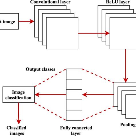 Cnn Structure For Biomedical Picture Categorisation Download