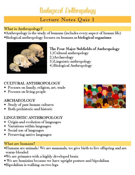 Biological Anthropology Lecture Notes Cultural Anthropology 2 Archaeology 3 Linguistic