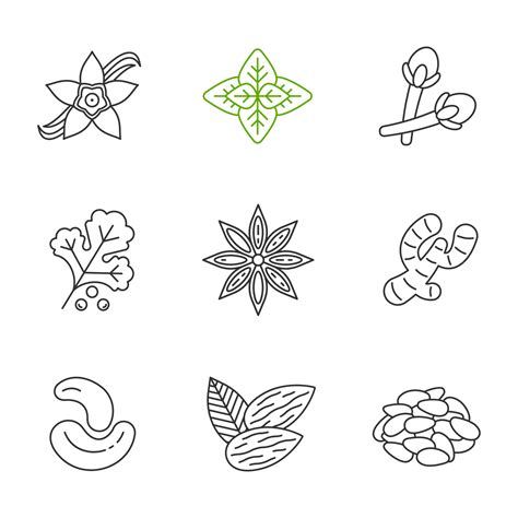 Spices Linear Icons Set Thin Line Contour Symbols Seasonings Flavorings Vanilla Flower