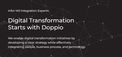 Doppio Group Specializes In Business Process And Application