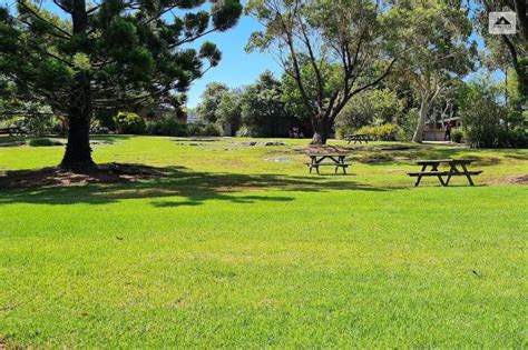 How To Level A Yard Best Easy And Simple Proven Steps