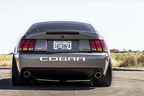 2004 Mustang Cobra Terminator Muscle Cars Mustang