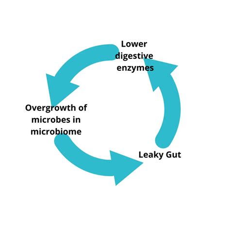 Understanding Food Intolerances