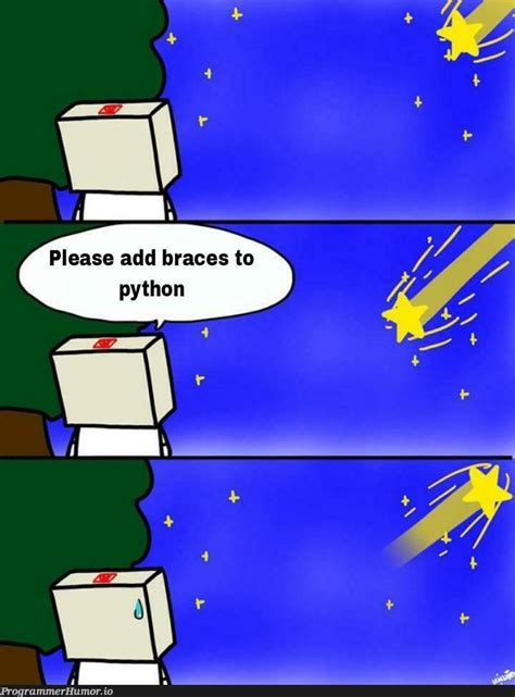 Every Programmer Ever ·