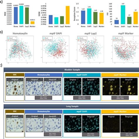 Quantitative And Qualitative Analysis Of Deepliif For Modality Download Scientific Diagram