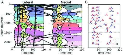 Per Trial Shifts And Correlations In Csd Evoked Response Components