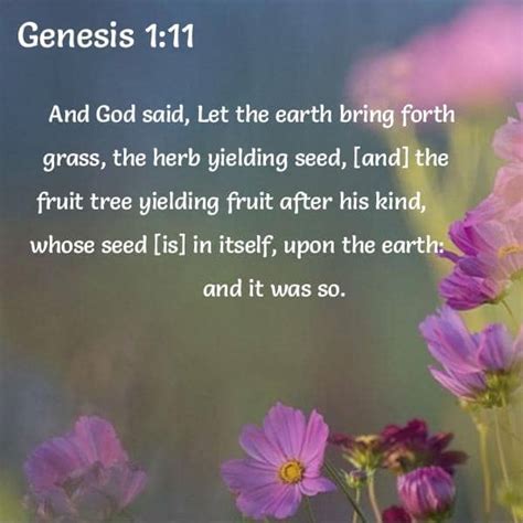 Bible Verses About Grass 56 Passages King James Version Kjv