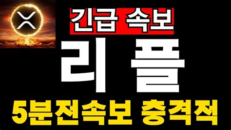 리플 5분전 속보 정말 충격적입니다 이거 하나로 모든게 다 설명됩니다 지금 빨리 확인하세요 리플 리플심훈 심훈