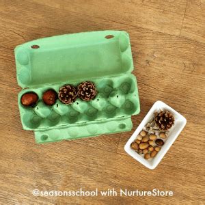 Forest School Math Activities For Autumn NurtureStore