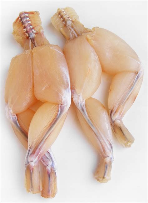 Żabie Udka MroŻone Pakowane Indywidualnie 800g • Cena Opinie Allegro