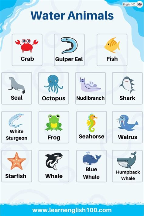 Water Animals English 100