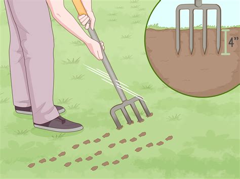 How To Fix A Bumpy Backyard At Guillermo Odea Blog