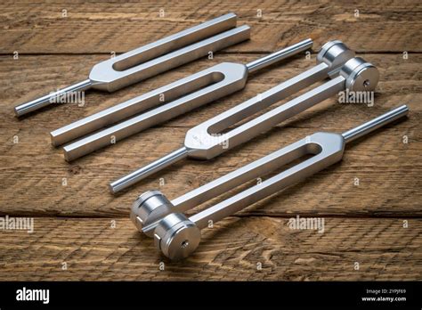Set Of Weighted And Unweighted Metal Tuning Forks Used For Tuning