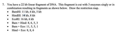 You Have A 22 Kb Linear Fragment Of Dna This