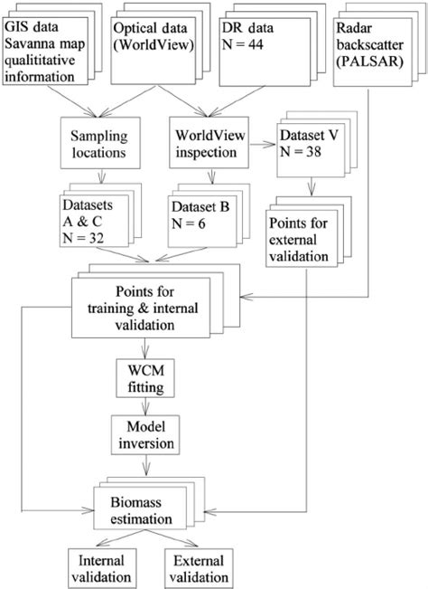 Flowchart Of The Datasets Created And Analysis Steps Download Scientific Diagram
