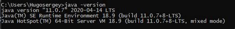 There Has Been An Unexpected Error While Calling Npm Groovy Lint Issue Nvuillam Vscode