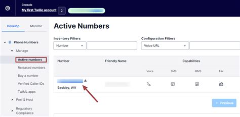 how to connect twilio to flowlu