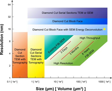 Enhanced Fib Sem Systems For Large Volume 3d Imaging Elife