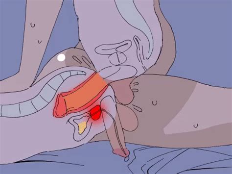 Rule Boys Anal Anal Sex Cross Section Meow Meow On Bed Precum Prostate Sweat X Ray Yaoi
