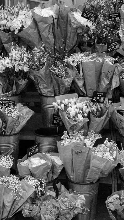 Bunga Hitam Putih Aesthetic