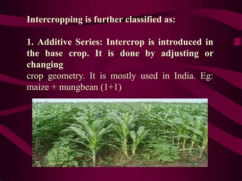 Cropping System Ppt 1 Pptx