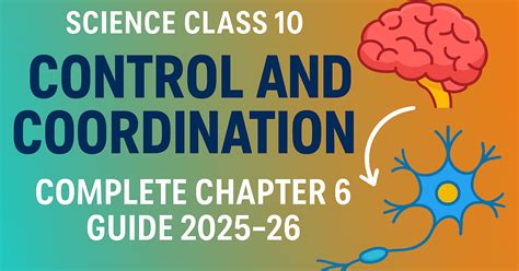 Science Class 10 Control And Coordination Complete Chapter 6 Guide 2025 26