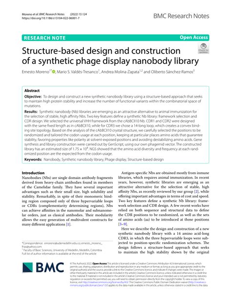 Pdf Structure Based Design And Construction Of A Synthetic Phage Display Nanobody Library