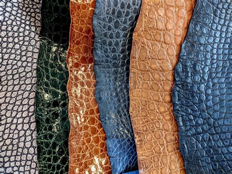 2 10 21 new alligator hides anvil customs