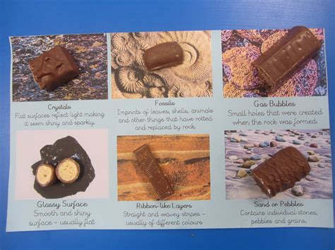 Biddick Primary School Science