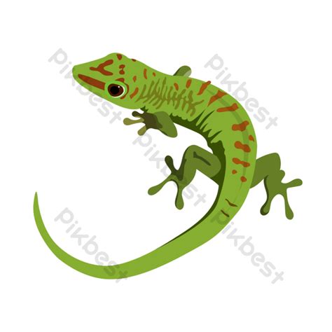 Chipkali In Heavy Png Png Images Psd Free Download Pikbest