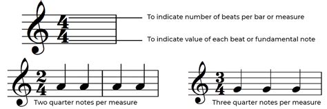 Beat Pattern In Music Conducting Conducting Tips Phamox Music